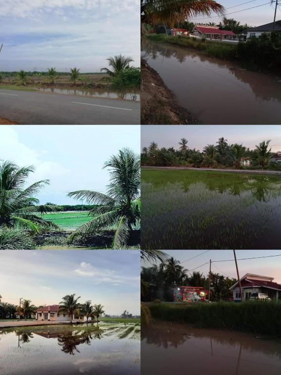 Chalet D'sawah private pool, Sungai Besar (tarifs actualisés 2024)