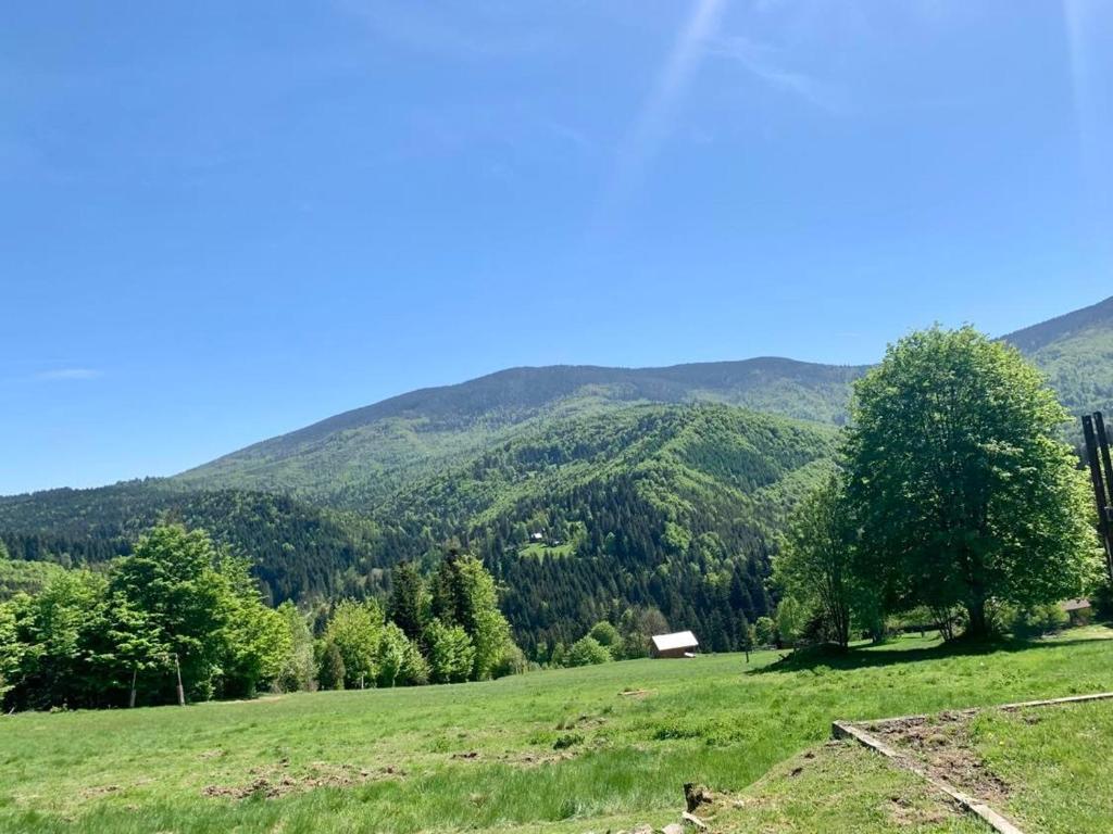 Kemping Romanka, Żabnica (prezzi aggiornati per il 2024)