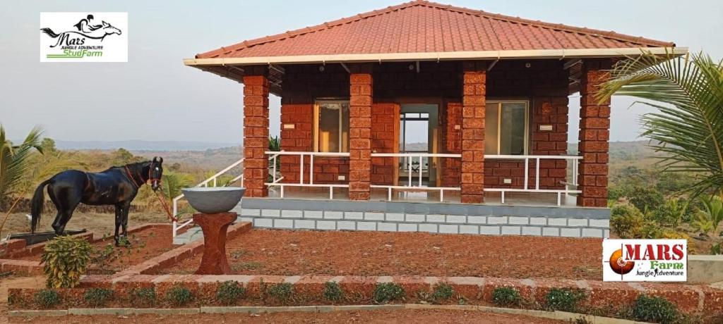 MARS Jungle Adventure Stud Farm with Private Jacuzzi, Narsinge ...