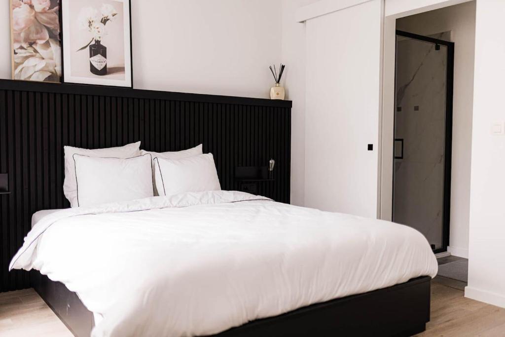 Gorgeous Getaway Apartment In The Old Centre - Anvers