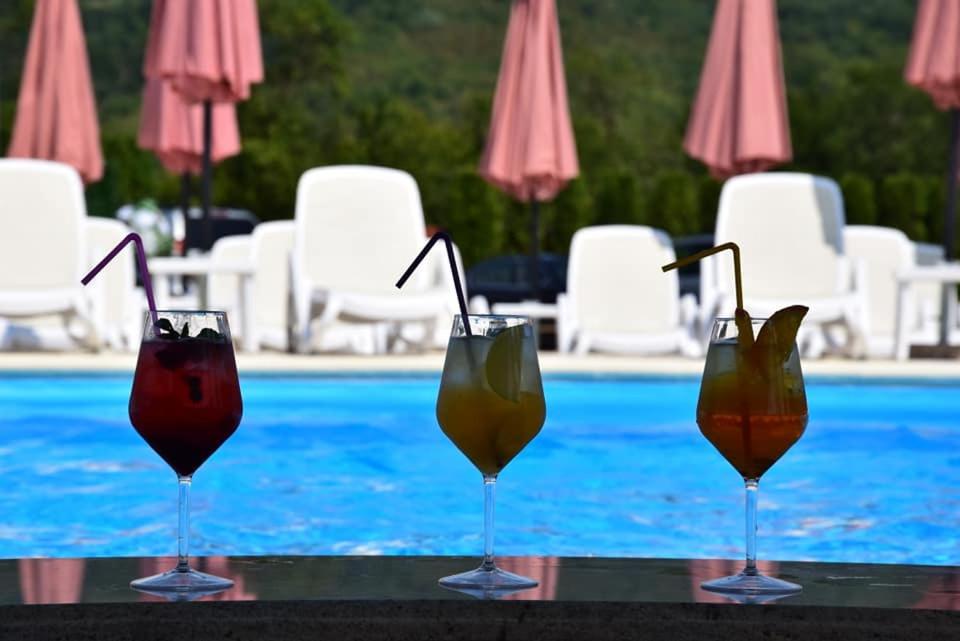 Pensiunea Trei Pini, Seini (updated prices 2025)