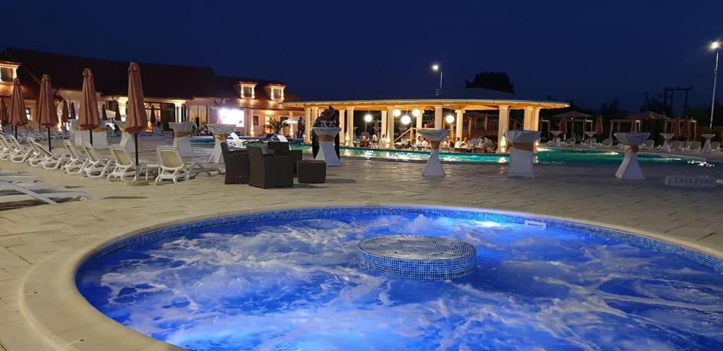 Pensiunea Trei Pini, Seini (updated prices 2025)