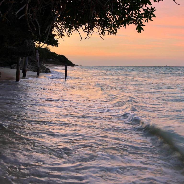 Sazani Beach Lodge and Tidal Lounge, Nungwi (updated prices 2024)