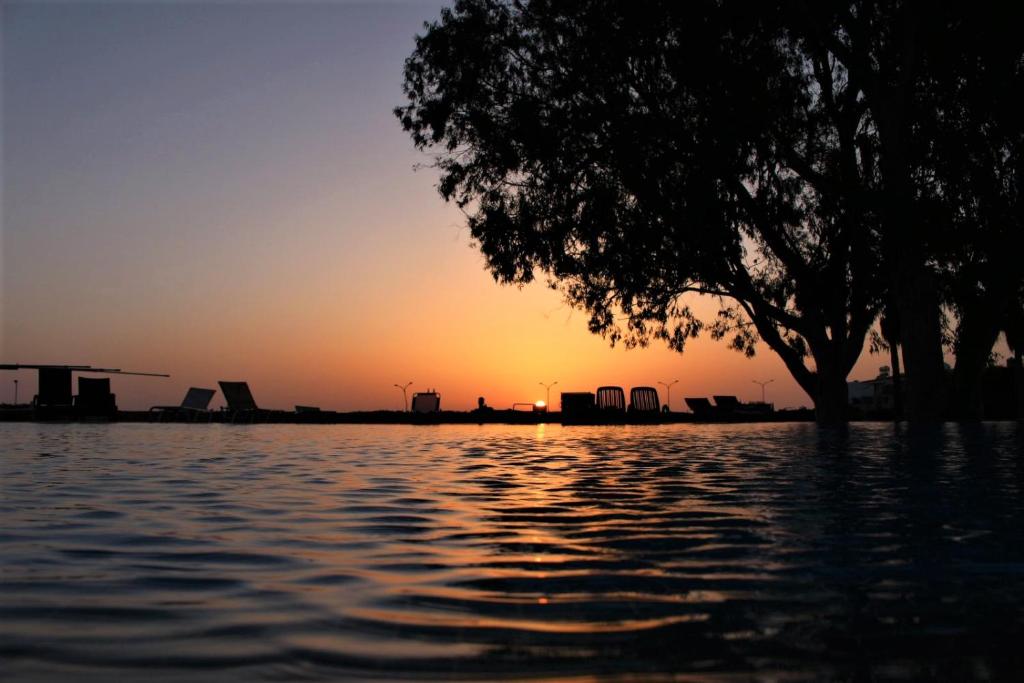 COSea Living: Seaside 2 Bedroom Flat Kings Palace 209, Paphos ...