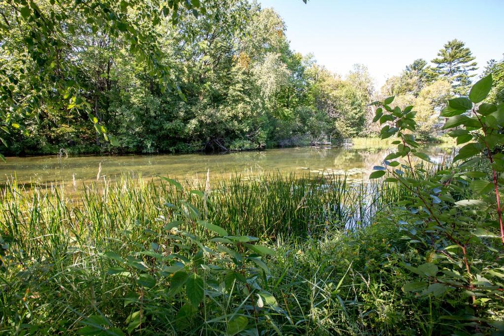 Interlachen Unit 4, Nisswa (updated prices 2025)