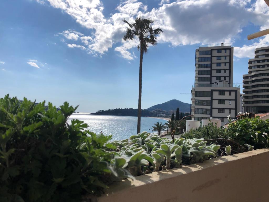 Apartment Plazza Rafailovici, Rafailovici (updated prices 2025)