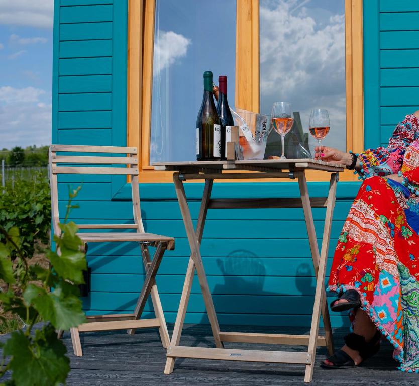Tiny House in the vineyard by Gramofon Wine in Iordachianu