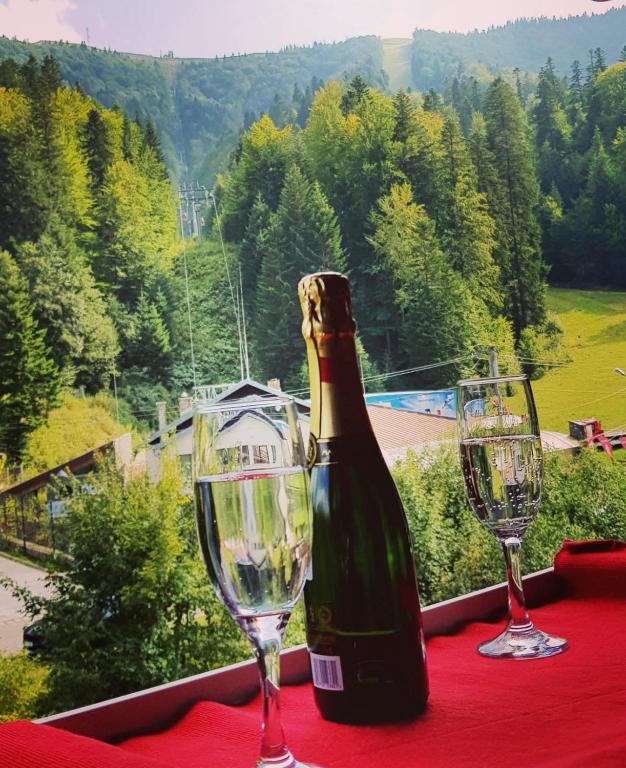 Hotel Pin Azuga in Azuga