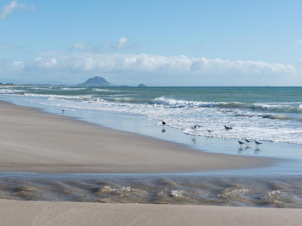 Twitter Headers Tumblr Beach