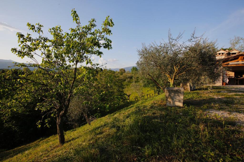 Asolo Norah's Hill Agri Rooms, Caenere – Updated 2023 Prices