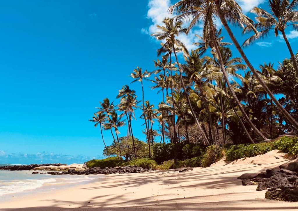 Go Camp Maui, Ah Fong Village (updated prices 2024)