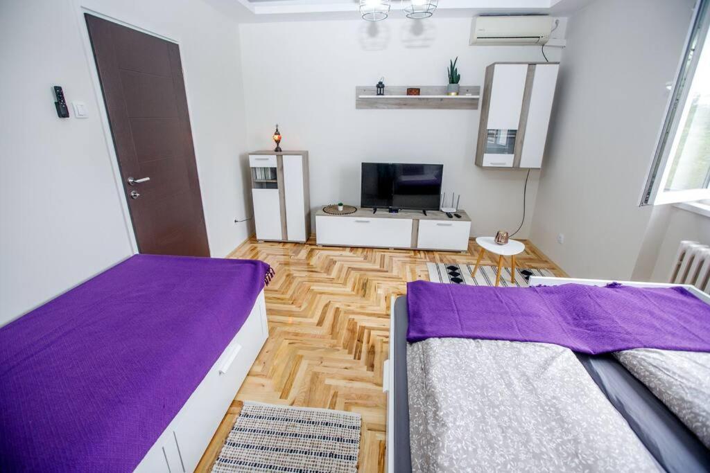 Lovely one-bedroom cosy Apartment RELAX, Subotica (updated prices 2024)