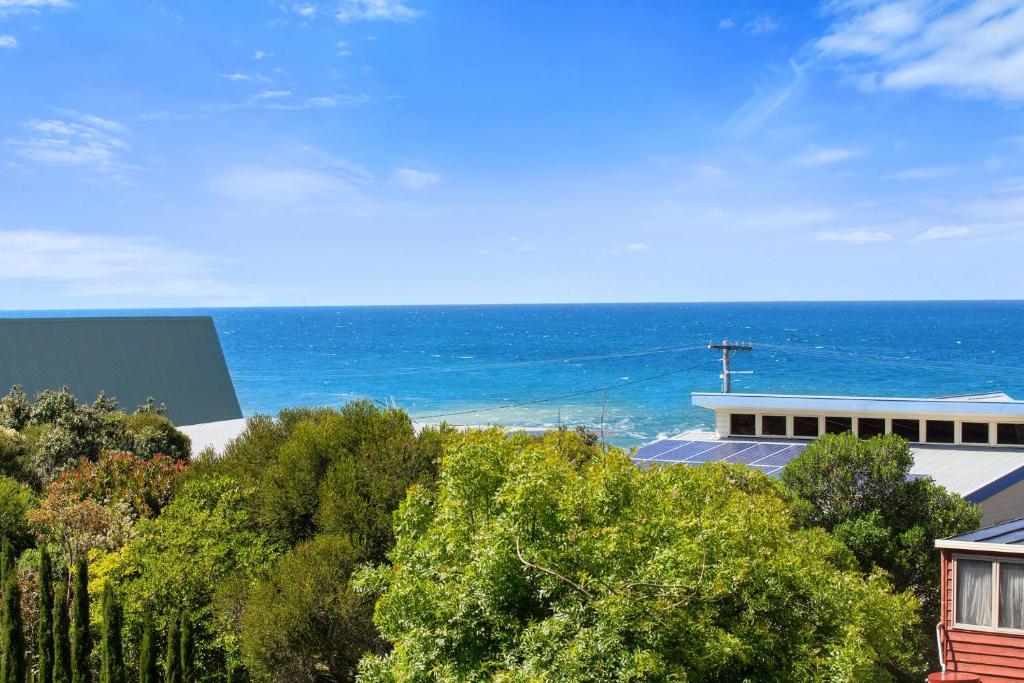 Blue Surf, Apollo Bay (updated prices 2025)