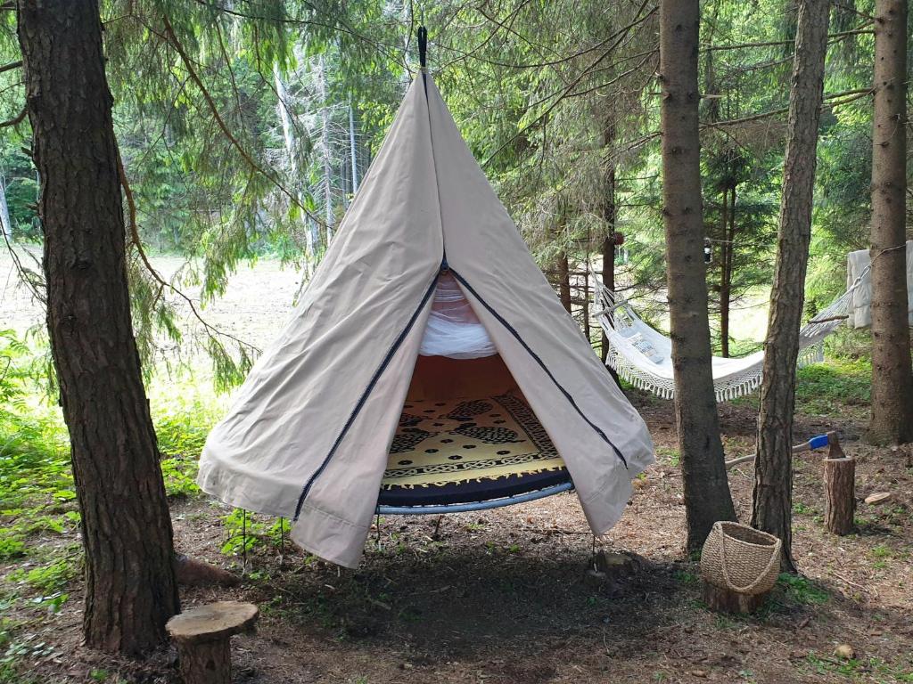 Lizdas, Anykščiai (updated prices 2024)