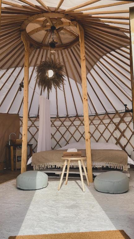 Glamping Iurte Mongole Spiritul Zimbrului, Vama Buzăului (updated ...