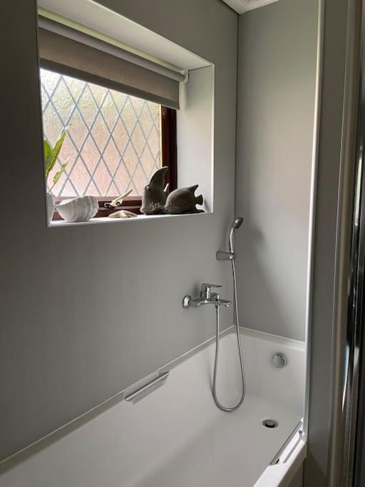 Award winning pet friendly paddock cottage, Whitby (updated prices 2025)