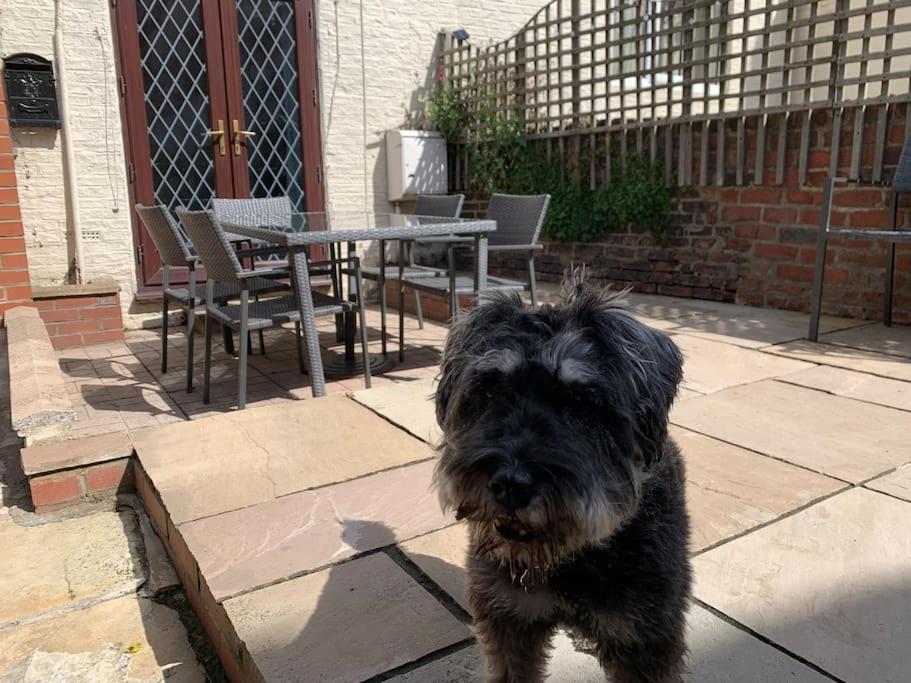 Award winning pet friendly paddock cottage, Whitby (updated prices 2025)