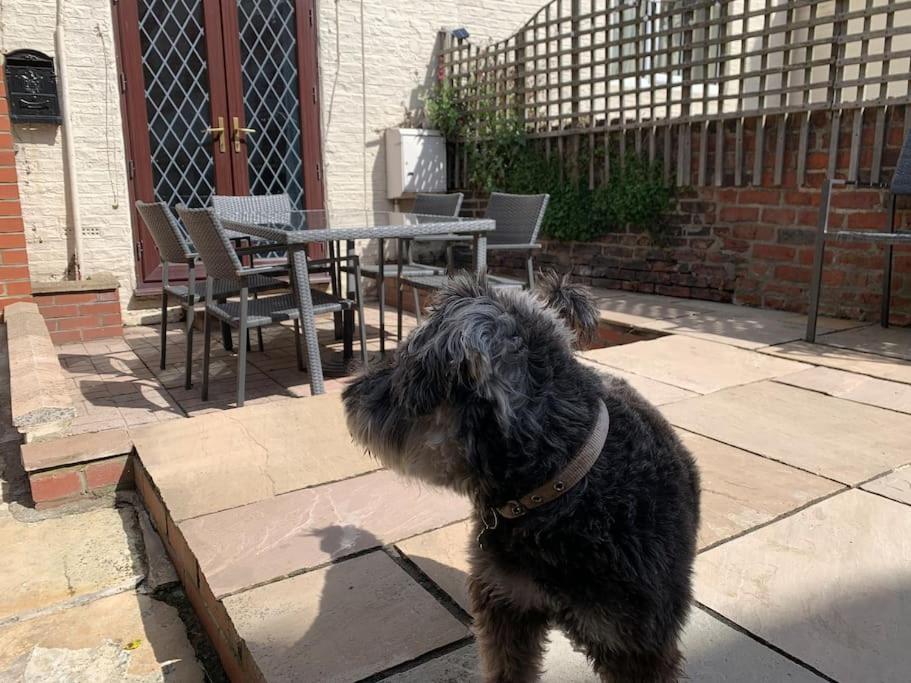 Award winning pet friendly paddock cottage, Whitby (updated prices 2025)