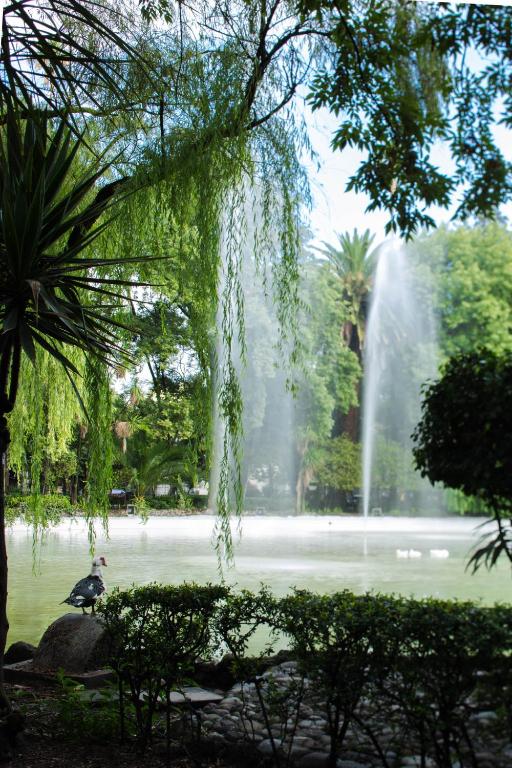 Hotel Parque México Boutique, Mexico City (updated prices 2025)