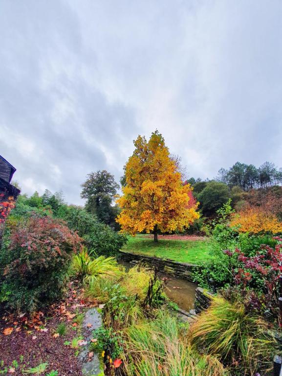 MOULIN Menhirs & zone naturelle protégée, Saint-Just (updated prices 2025)