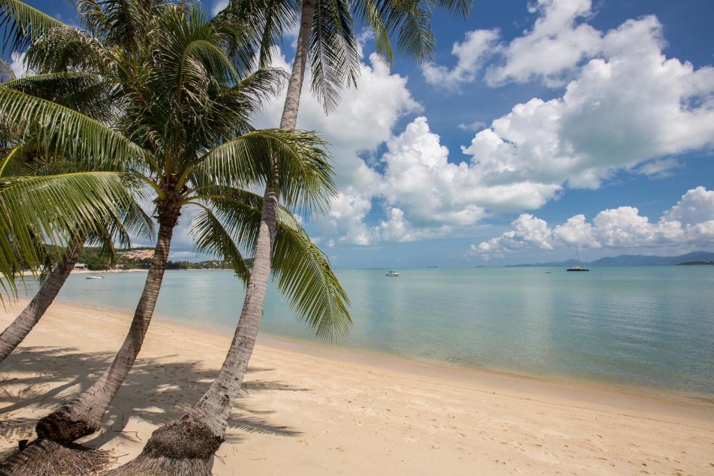 Tembo Beach Club & Resort, Koh Samui (updated prices 2025)