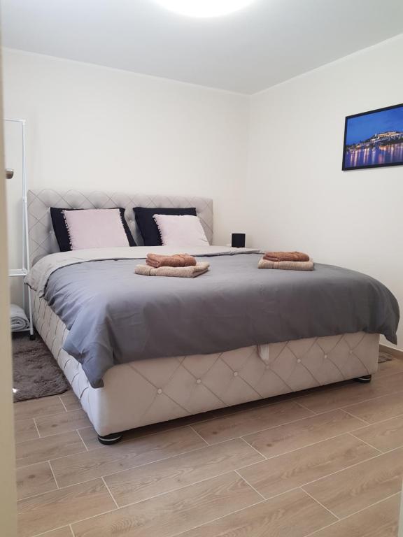 Comfort-ns 2 - Novi Sad