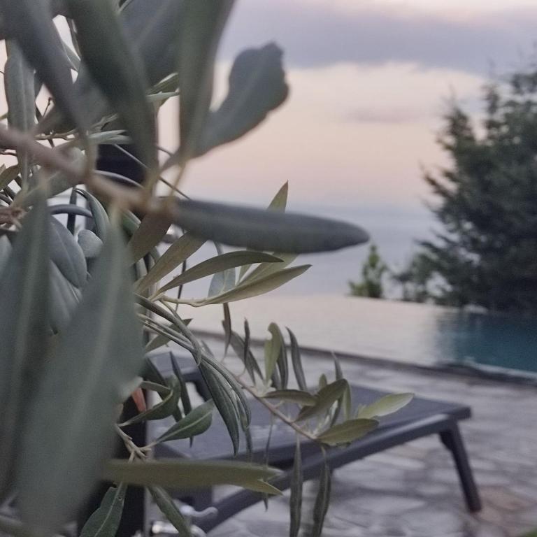 Villa Domijan Iii - Lovran