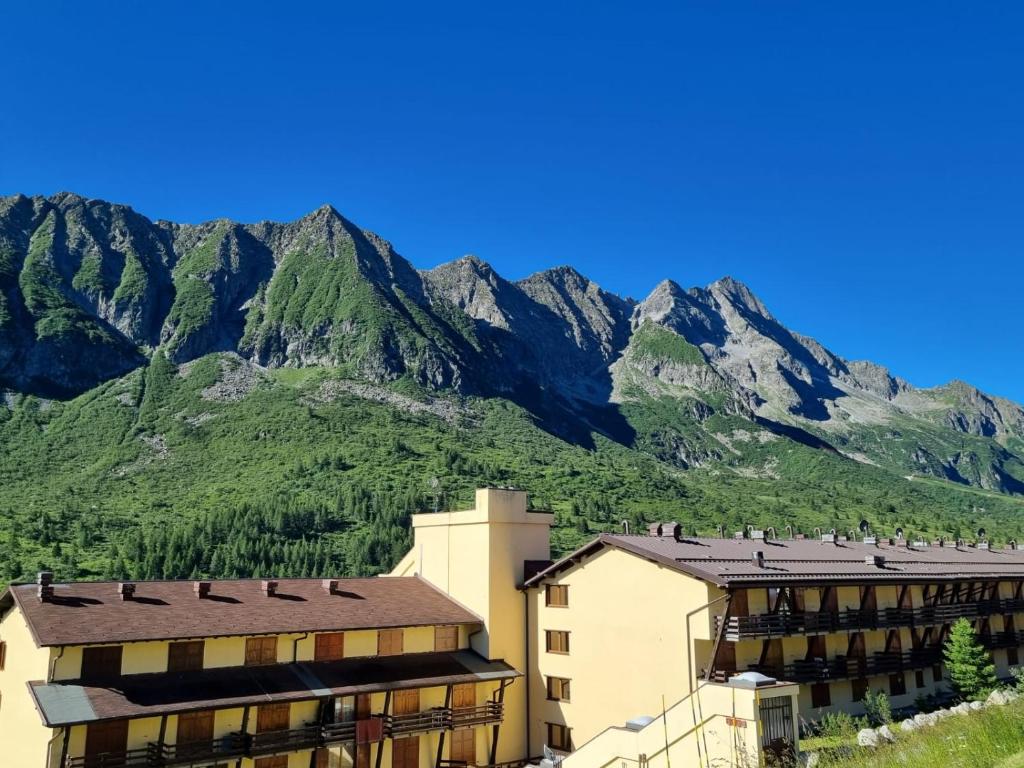 BMP APARTMENT EDELWEISS PASSO DEL TONALE - SuiteTrails