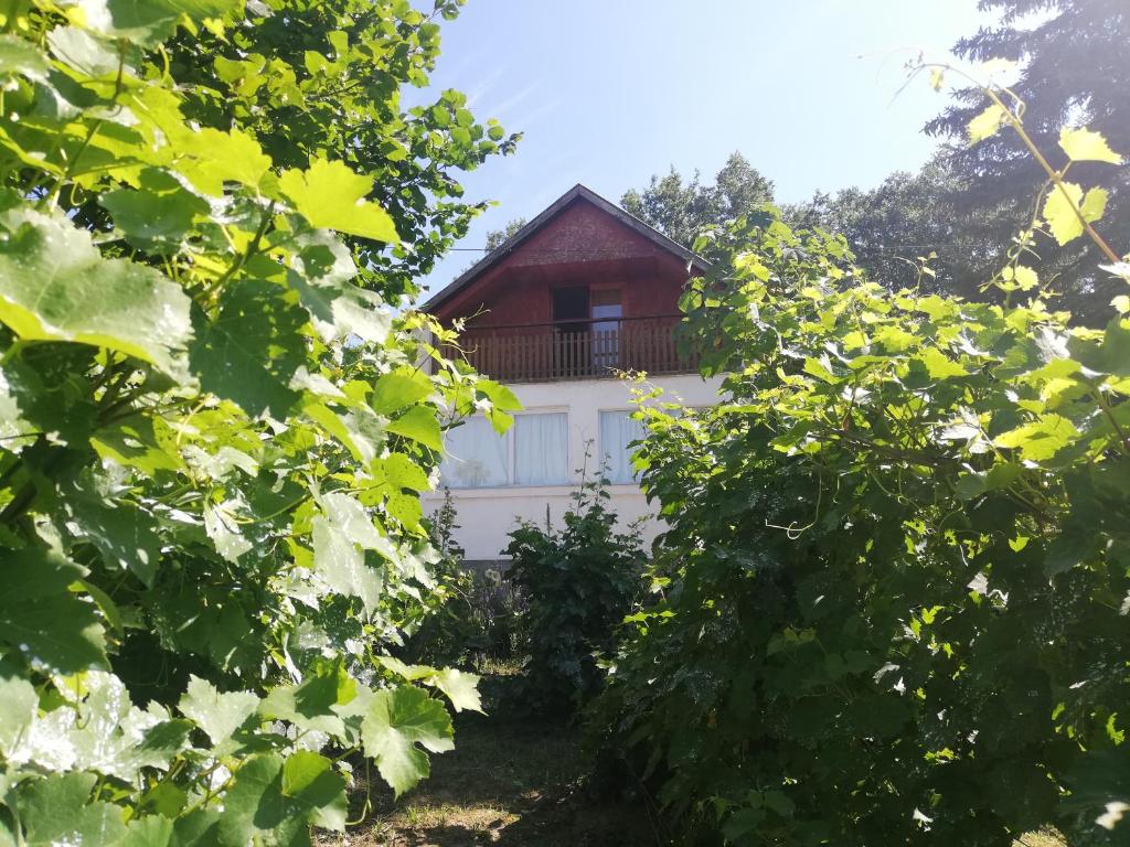 Erdei Ház Miskolctapolca - Miskolctapolca