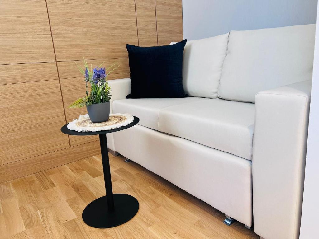 ZEUS Design Apartment Erlach #37, Vienna (updated prices 2026)