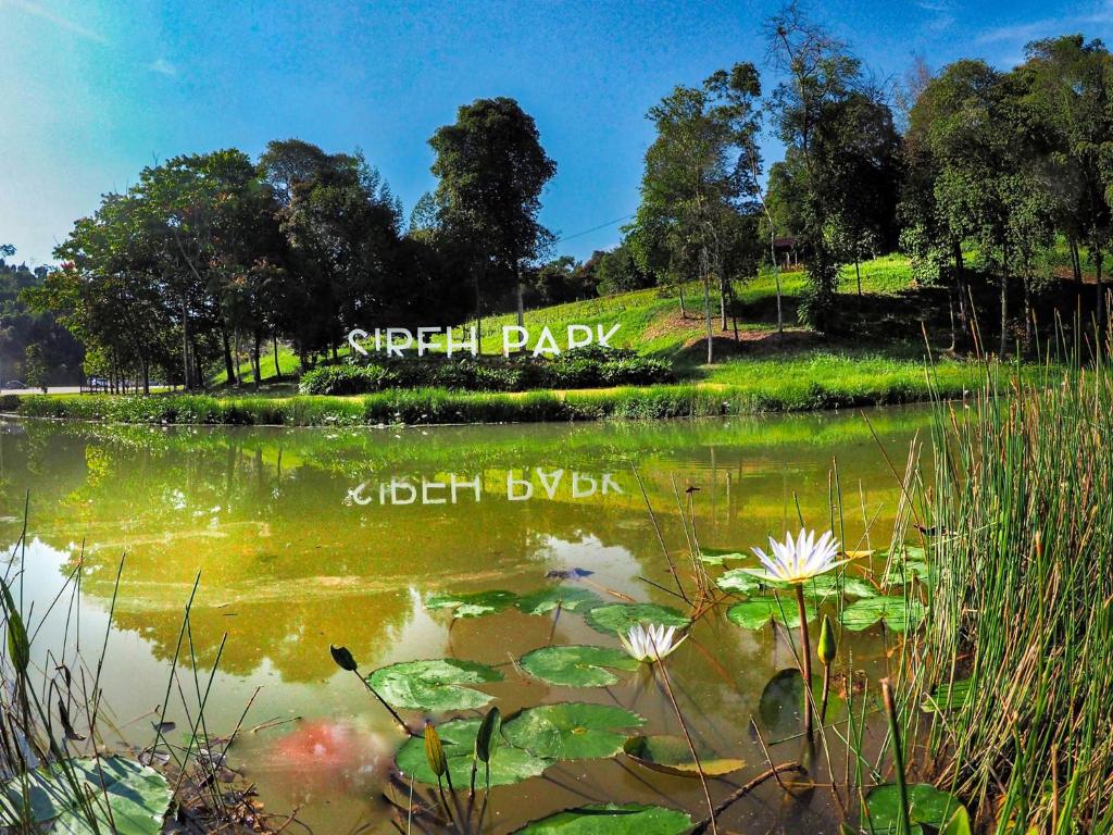 Bukit Indah Near Aeon / Legoland 5-6 Paxs, Johor Bahru (updated prices ...