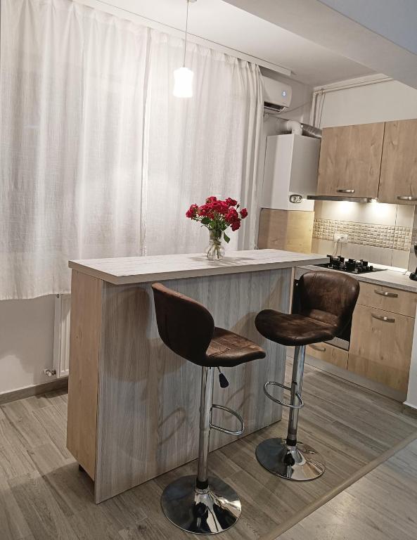 Quiet / Bright Studio/ Available Monthly - Județul Dâmbovița