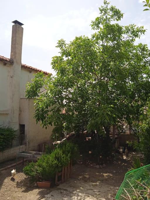 Το Μικρό Σπίτι στη Φάρμα!, Acharnae – Preços atualizados 2022