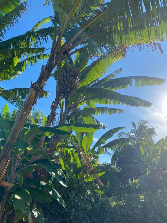 LES GÎTES DE BIBINE gîtes tout confort coin calme et tranquille, Rabi ...
