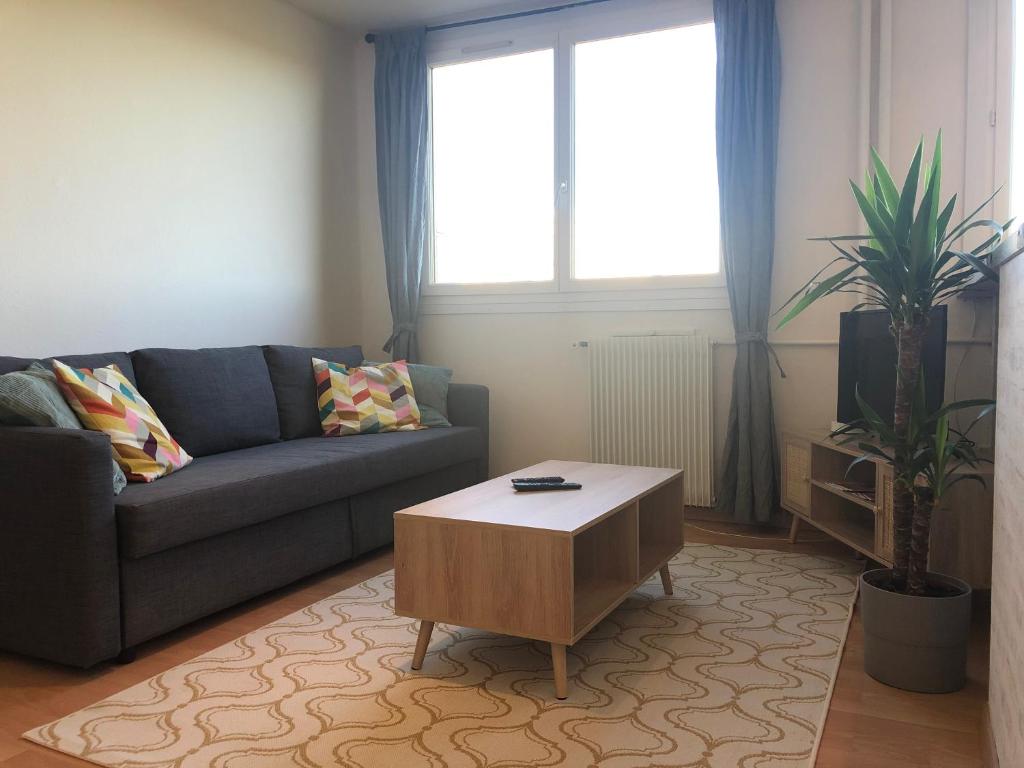 T2 lumineux vue sur Cher, 8mn Gare & centre in Tours