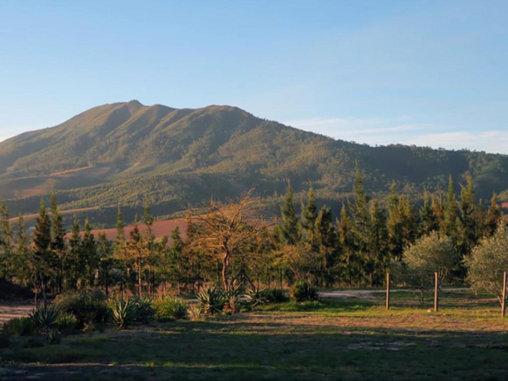 Bains View Olive and Guest Farm, Wellington (updated prices 2025)