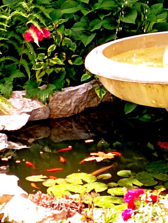 ABC apartments, Kamnik (updated prices 2025)