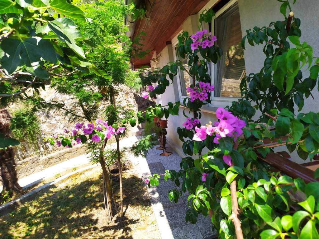 Lili house, Portorož (updated prices 2025)