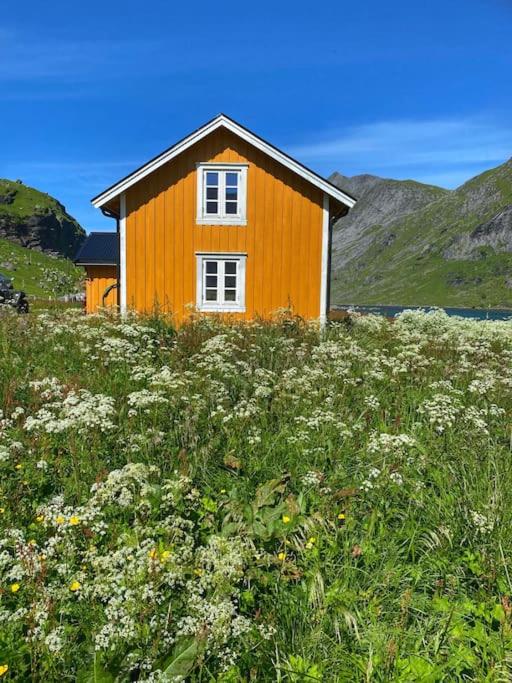 Romantic getaway cabin in Lofoten,daily boat access, Moskenes (aktualne ...