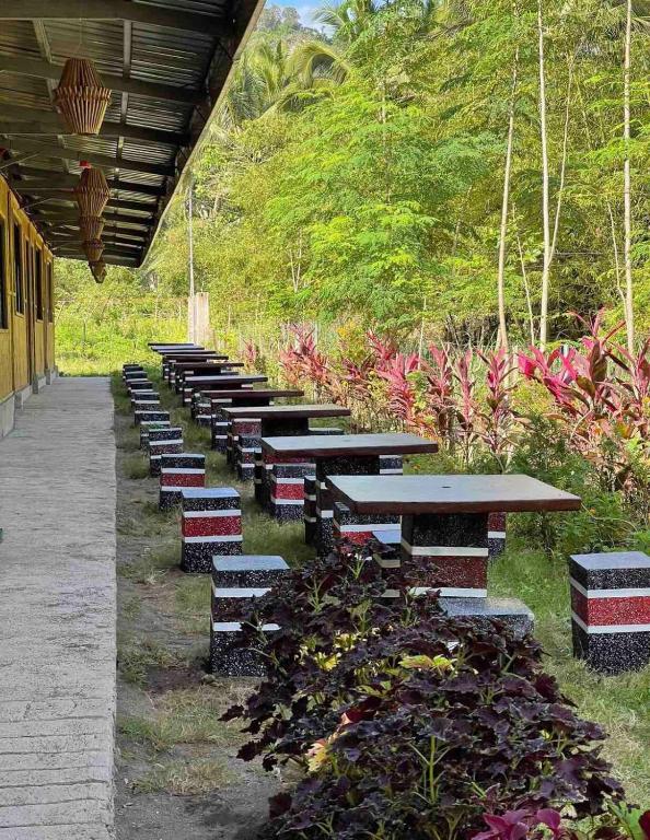 Zen Tierras Farm powered by Cocotel, Dingalan (updated prices 2025)