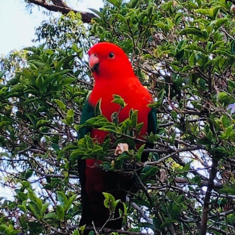 Telegraph Retreat Cottages, Telegraph Point (updated prices 2025)