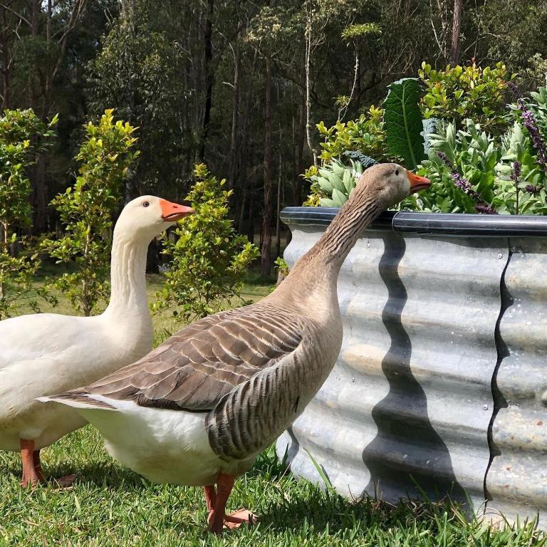 Telegraph Retreat Cottages, Telegraph Point (updated prices 2025)