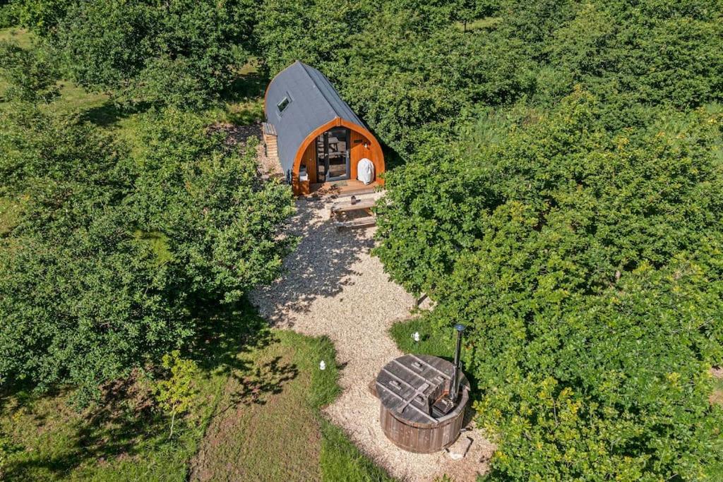 Buttercup Pod - Wild Luxury Devon - Devon