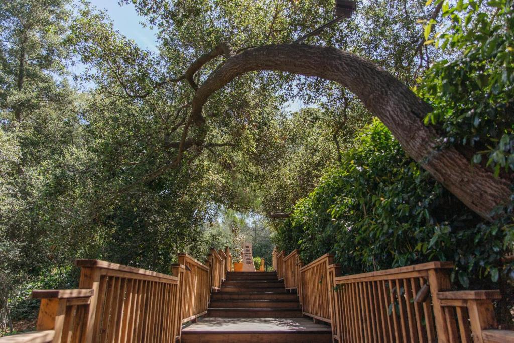 Calamigos Guest Ranch and Beach Club, Malibu (updated prices 2025)