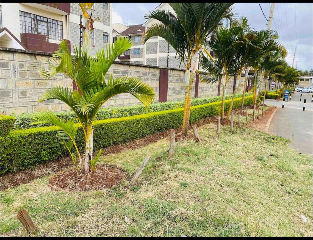 Cozy Layover in Imara Daima near Airport, SGR, Imaara Mall, Nairobi ...