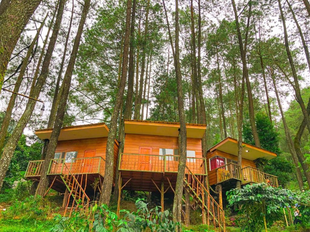 Kampung Rimba by Anrha, Bogor (updated prices 2025)