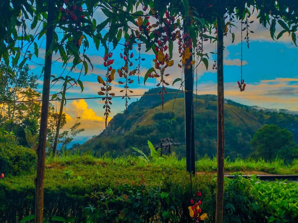 Ella Happy View, Ella – Updated 2023 Prices