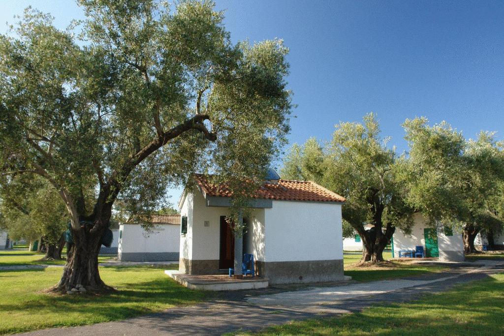 Villaggio Turistico Elea, Ascea (prezzi aggiornati per il 2025)