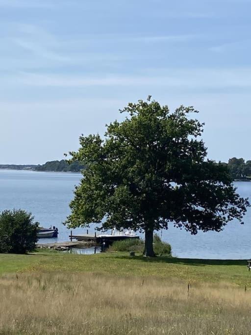 Havsnära villa på Senoren med brygga, strand, äng. Målarna (ราคาอัปเดต ...