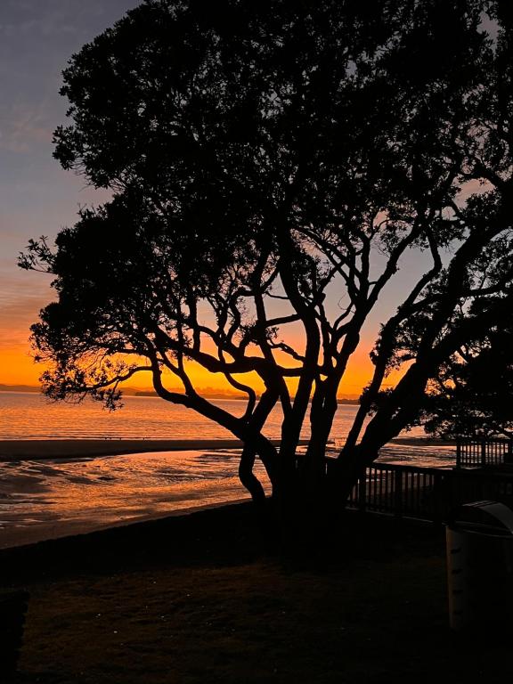 Island View Hideaway, Auckland (updated prices 2026)